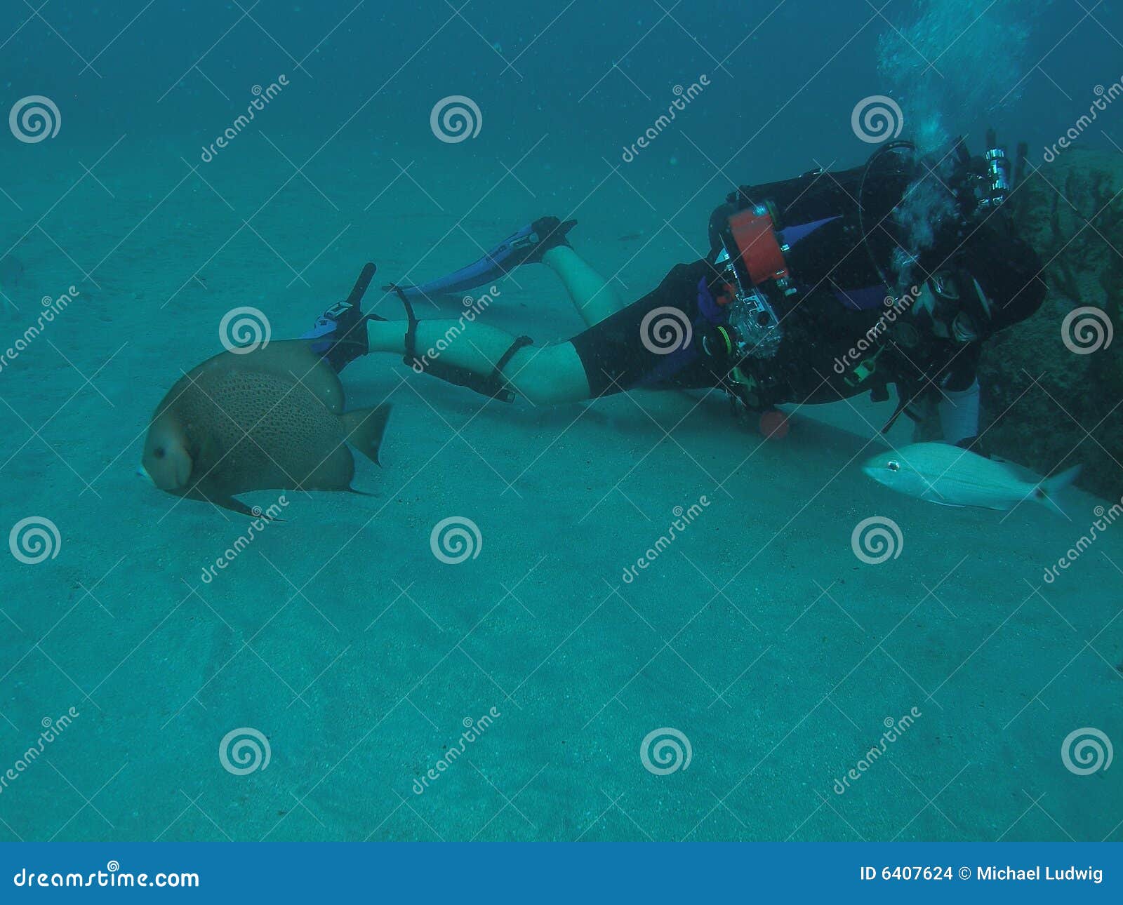 Diver with Underwater Camera Stock Photo - Image of discover, coral ...