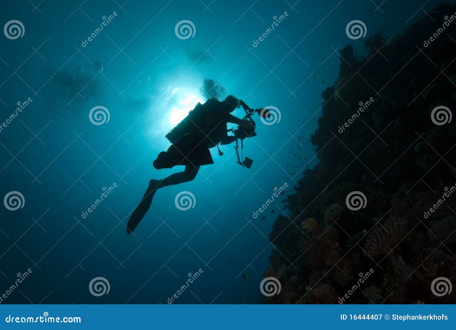 Underwater Silhouette Of Freediver. Stock Photo | CartoonDealer.com ...