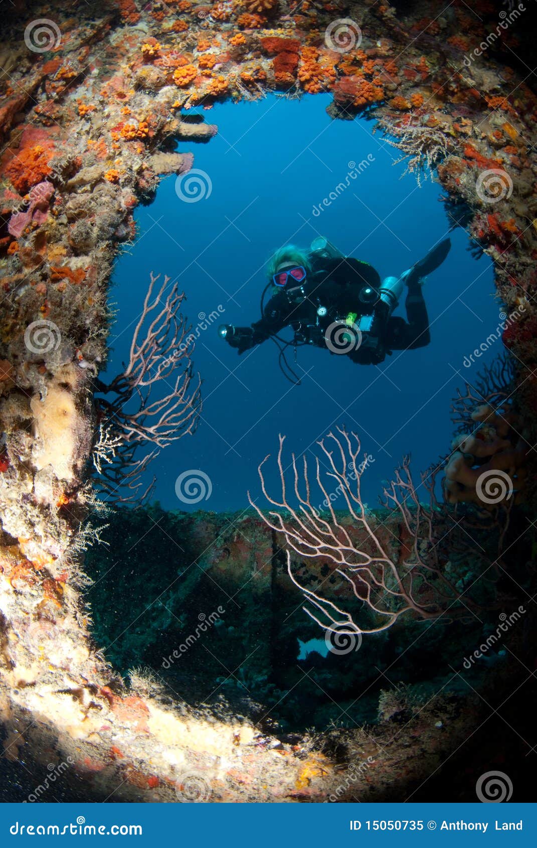 Diver on wreck stock image. Image of revo, doubles, shipwreck - 15050735