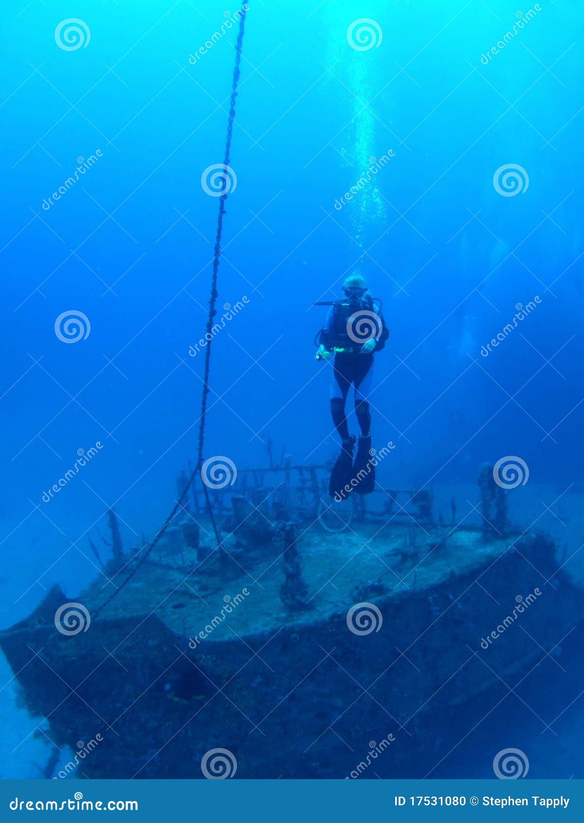 Diver on wreck stock photo. Image of america, diver, shipwreck - 17531080