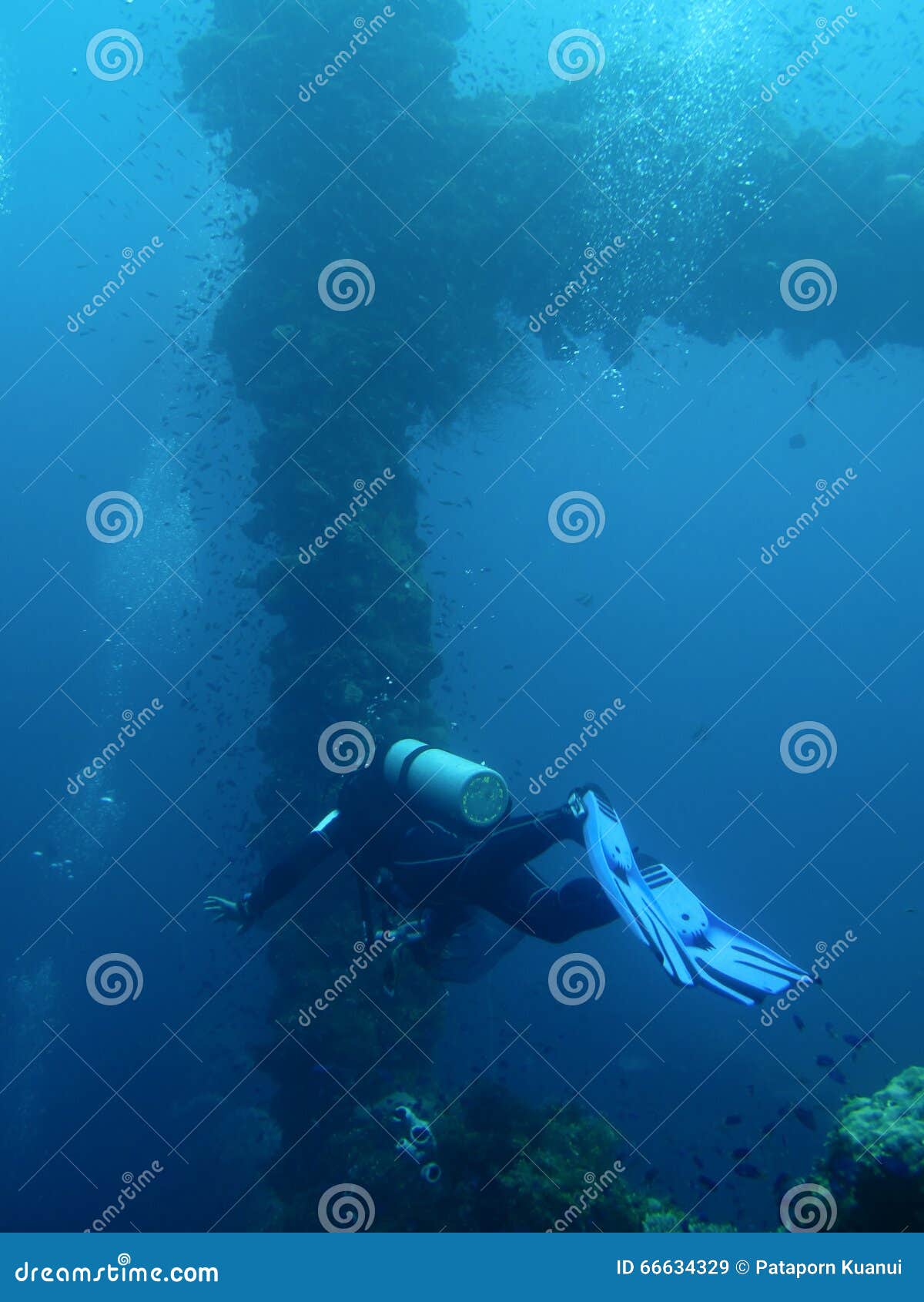Diver in Wreck Dive Deep Blue Sea Stock Image - Image of diver, shape ...