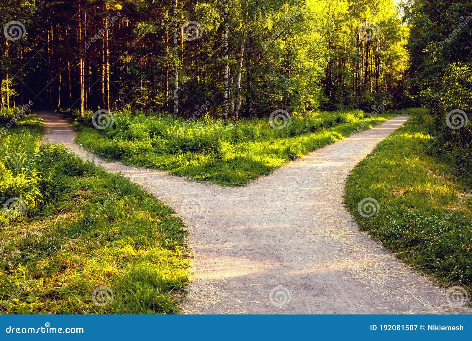 Divergence of Directions. the Wide Path in the Park is Divided into Two ...