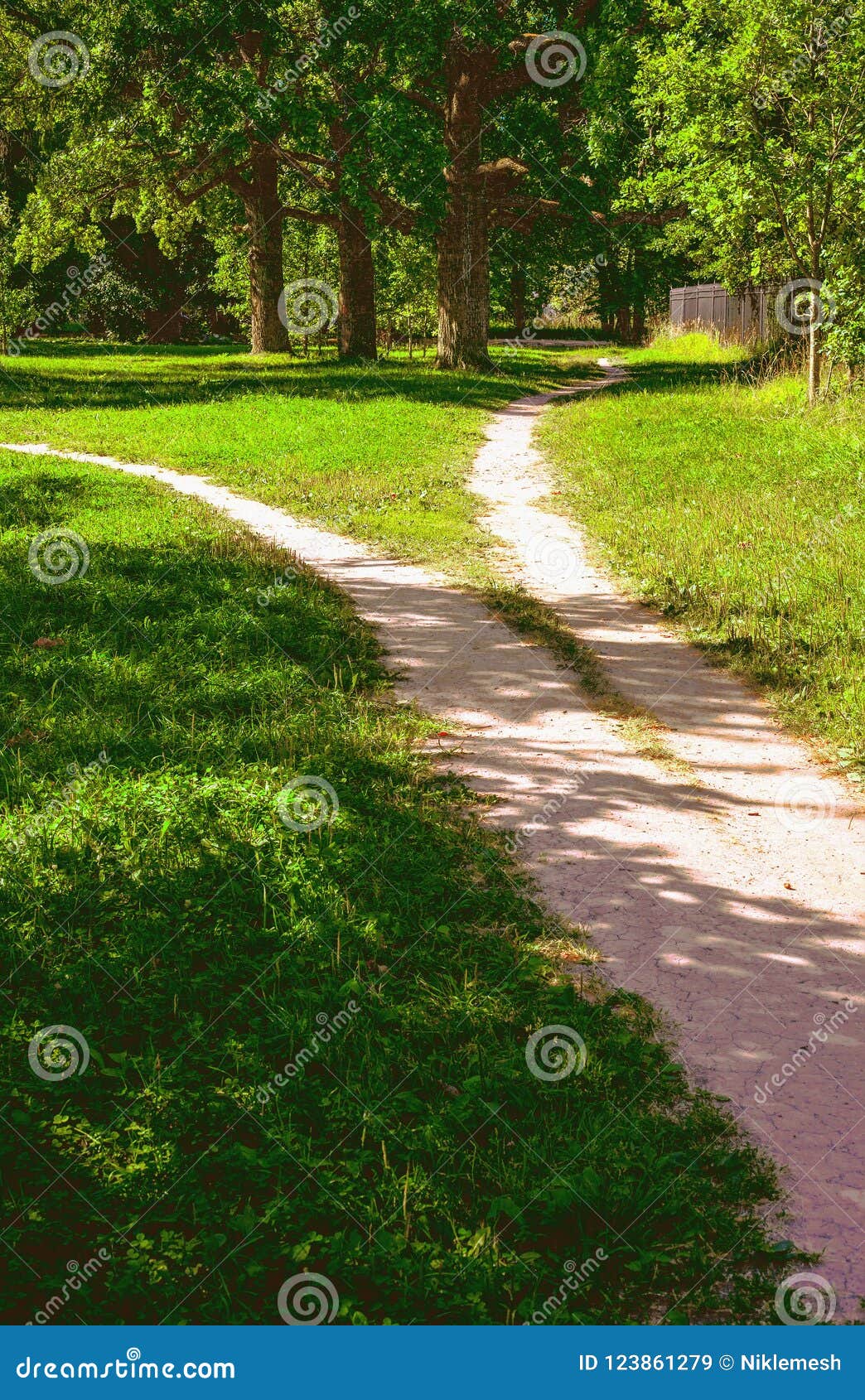The Divergence of Paths in Different Directions Stock Image - Image of ...