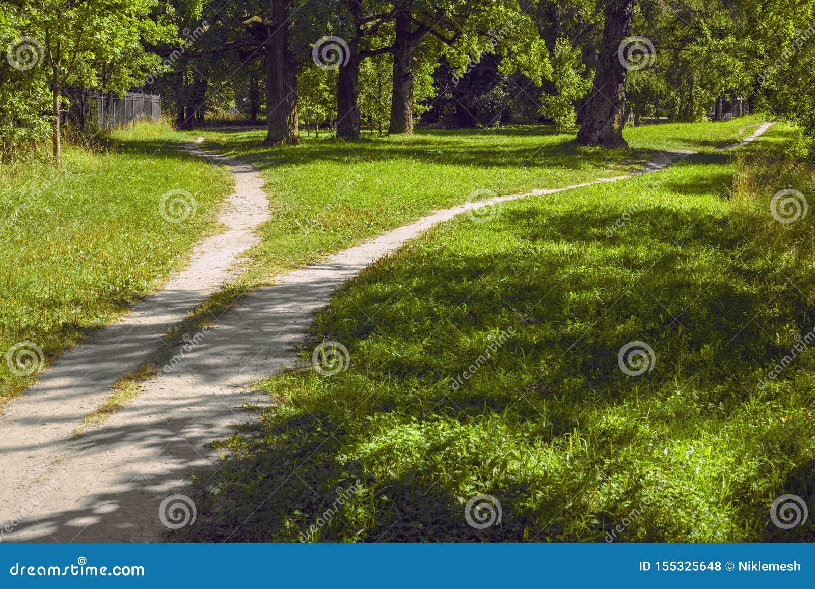 Divergence Of Paths: A Wide Asphalt Road In The Park Is Divided Into ...