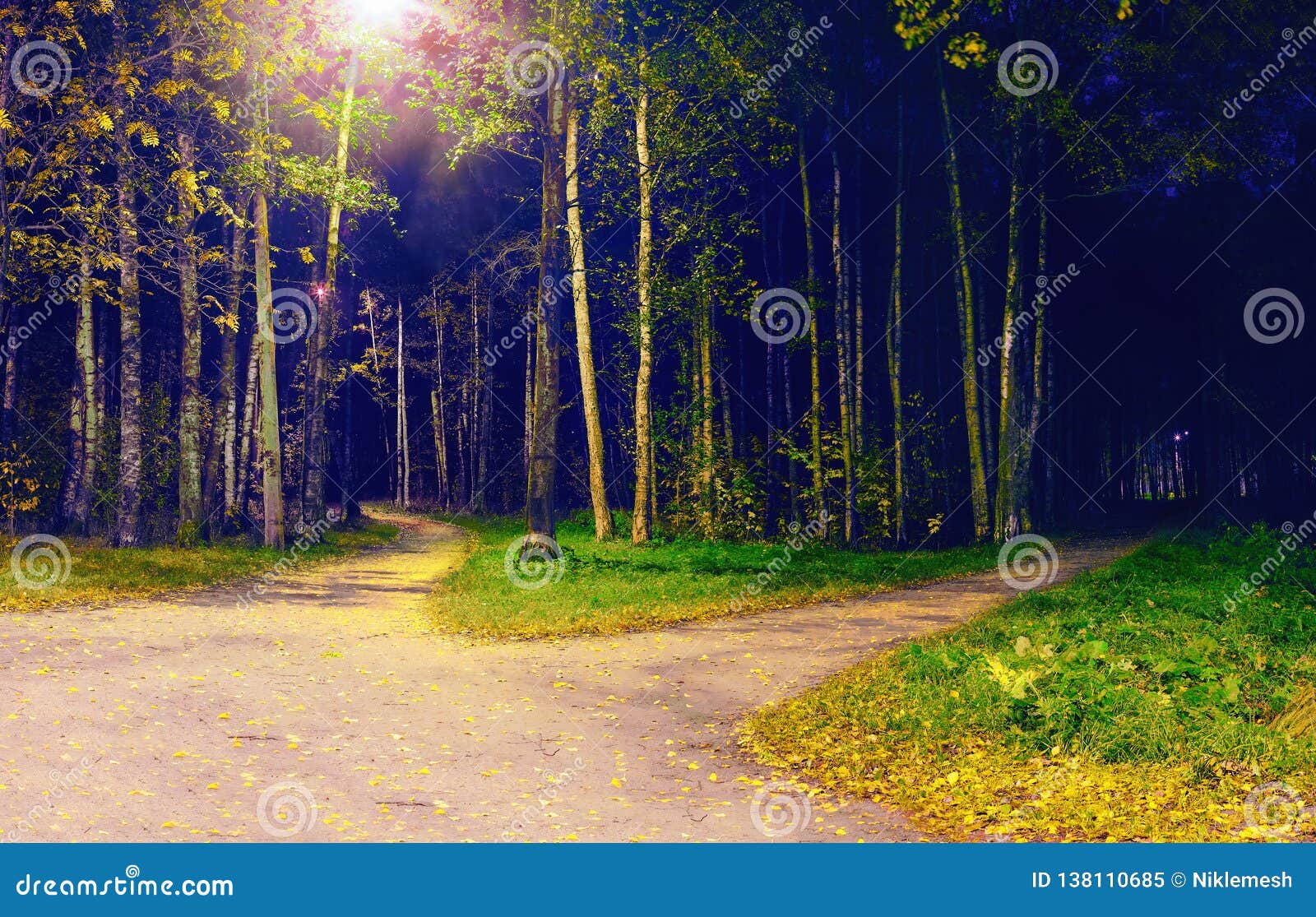 Divergence Paths in the Park at Night Stock Image - Image of park ...