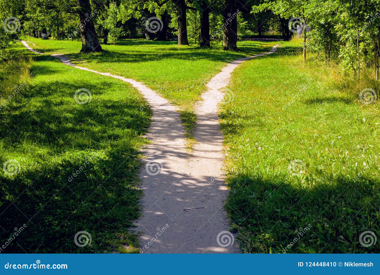 Divergence Of Paths: A Wide Asphalt Road In The Park Is Divided Into ...