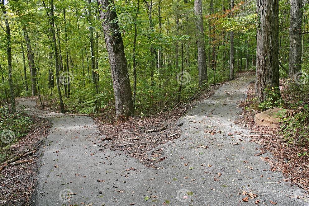 Diverging Paths stock image. Image of junction, pavement - 34283065