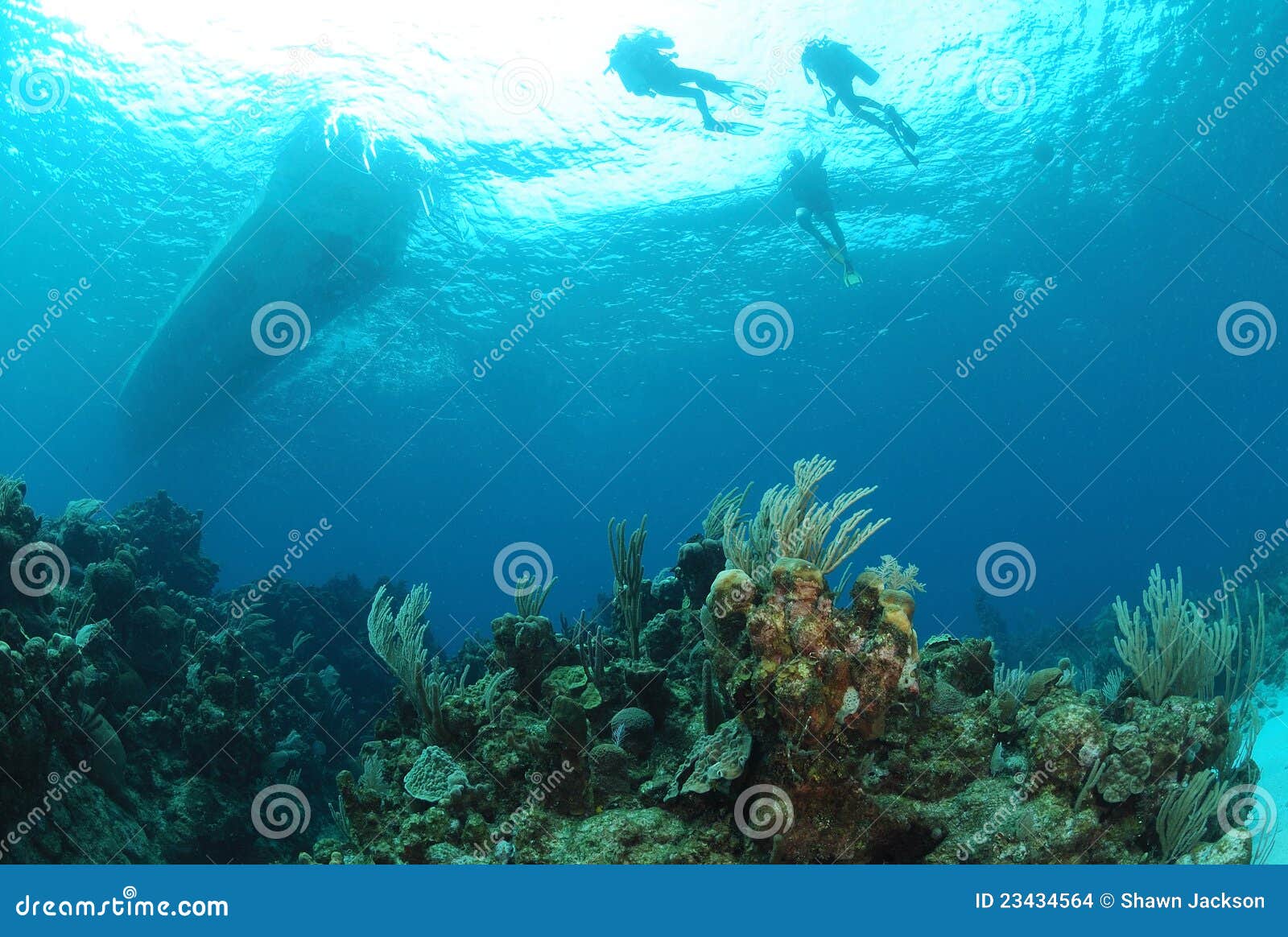 Divers ascending. stock photo. Image of extreme, diver - 23434564