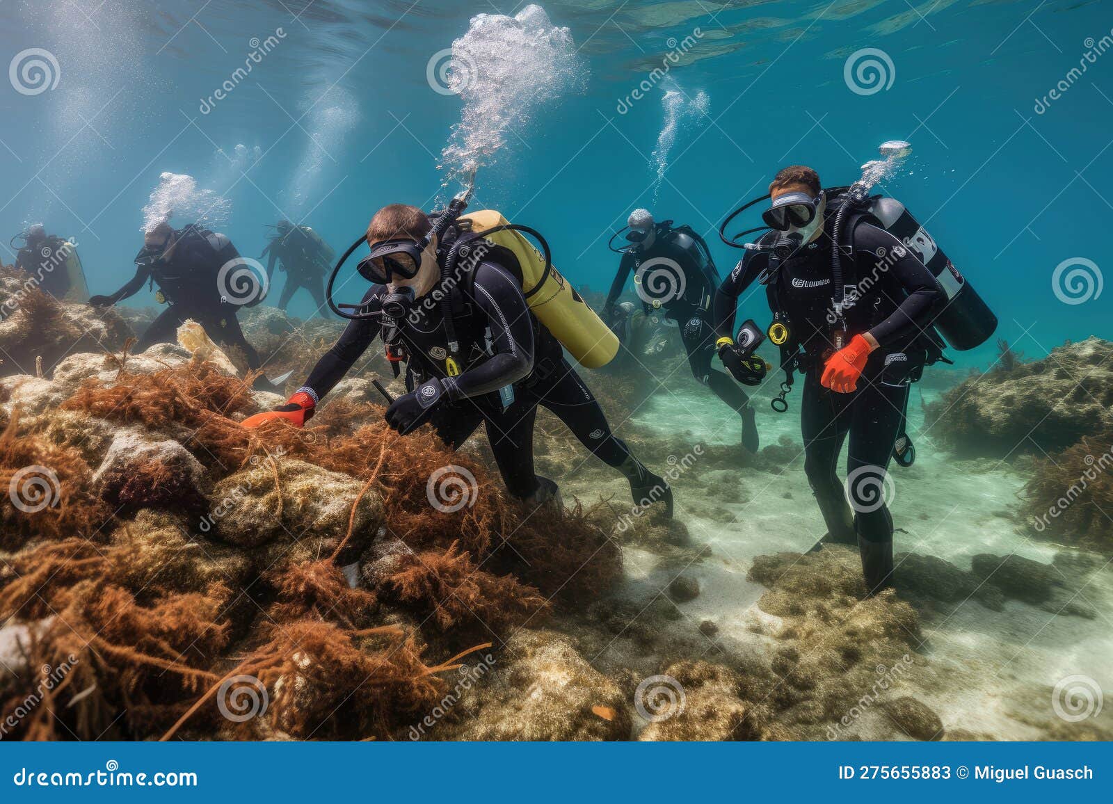 Divers Collecting Garbage and Plastic from the Bottom of the Sea Stock ...