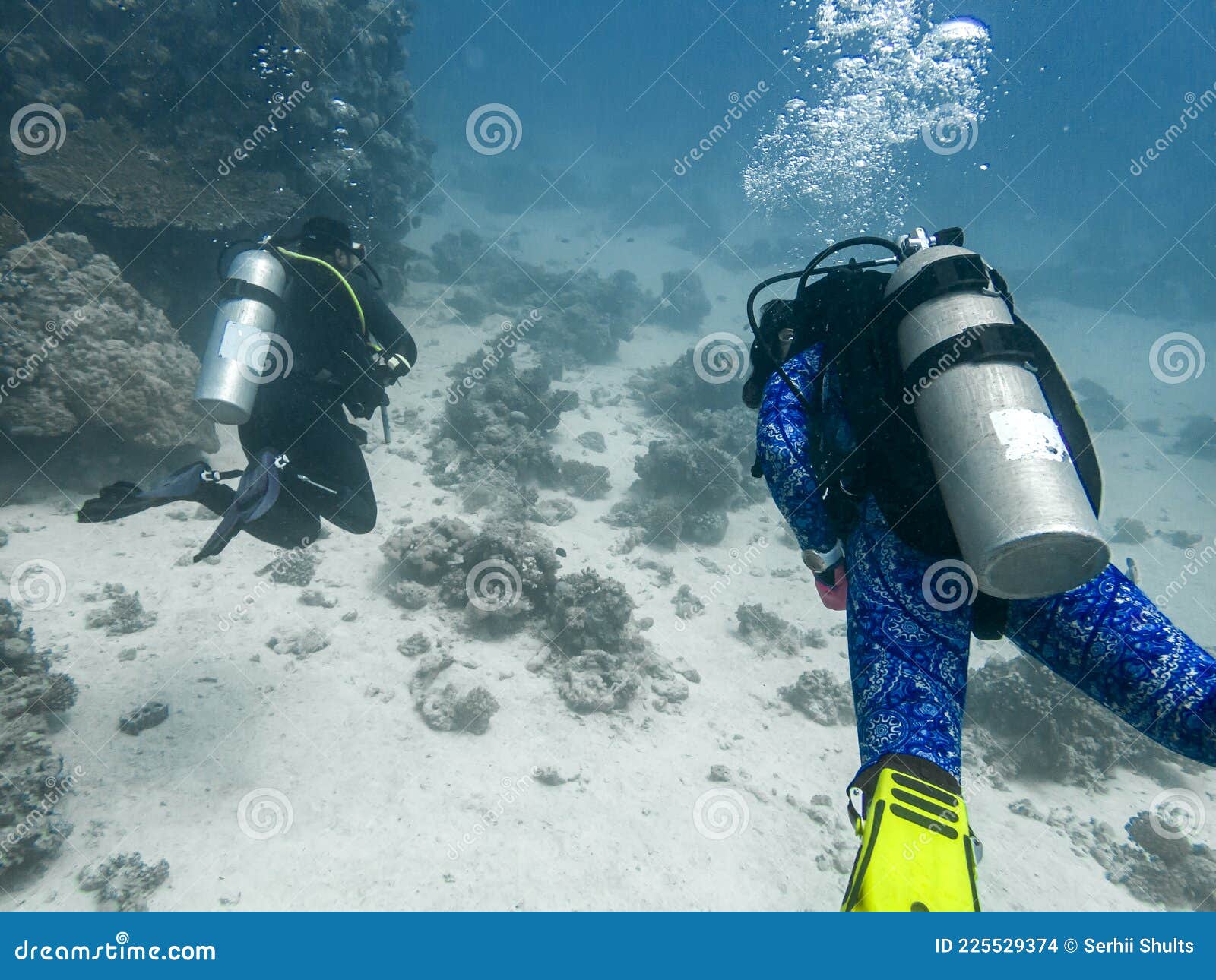 Divers dive stock photo. Image of cloudy, eels, corals - 225529374