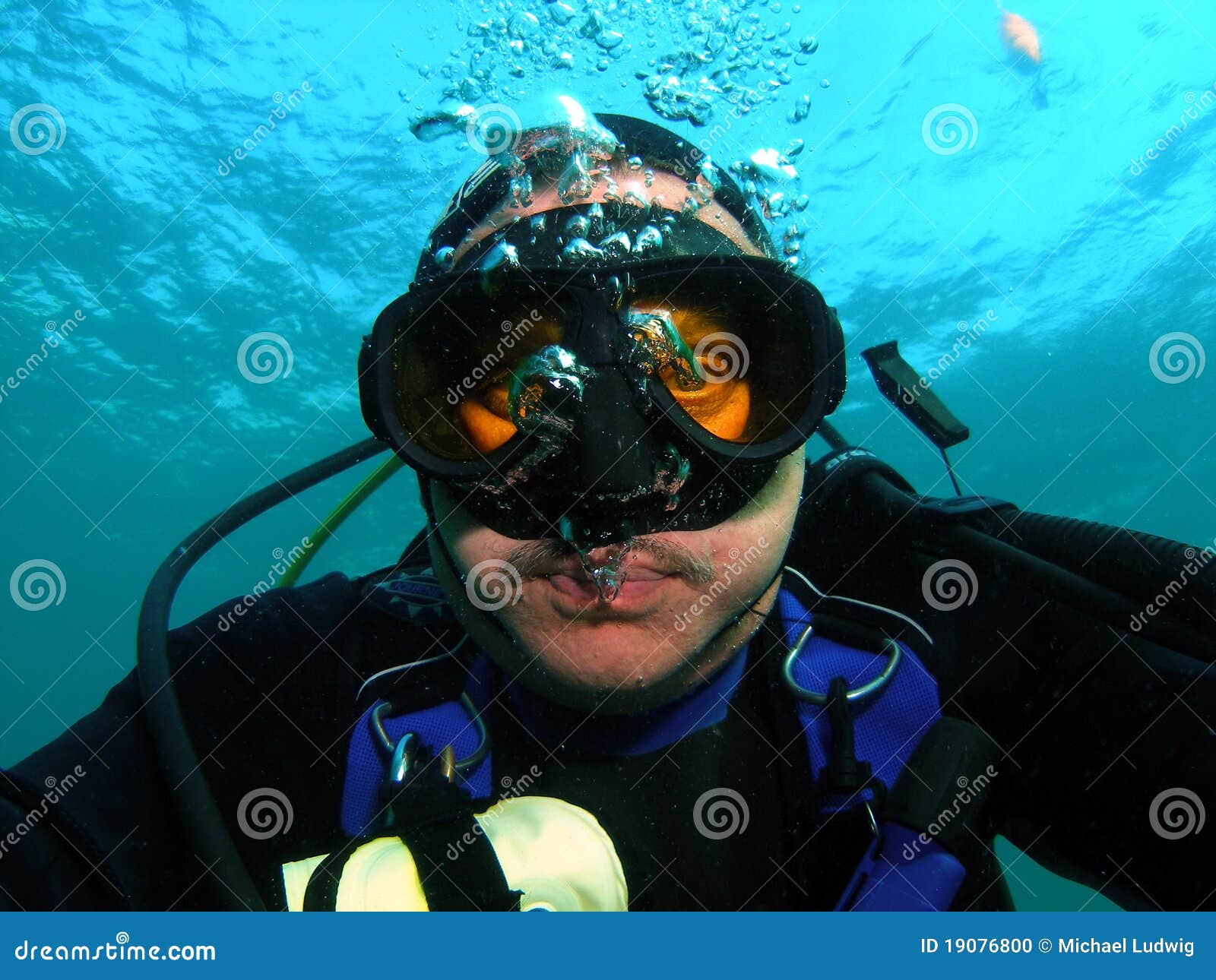 Divers Face stock photo. Image of ocean, reef, regulator - 19076800