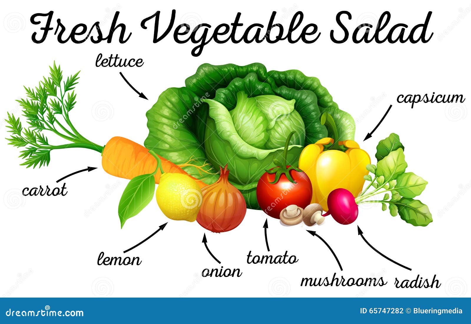 Divers Soort Groenten Voor Salade Vector Illustratie - Illustration of ...