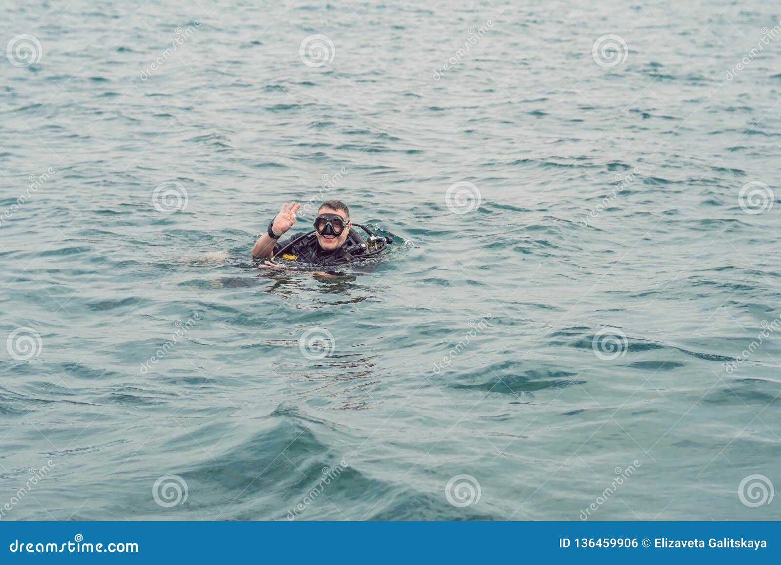 Divers on the Surface of Water Ready To Dive Stock Photo - Image of ...