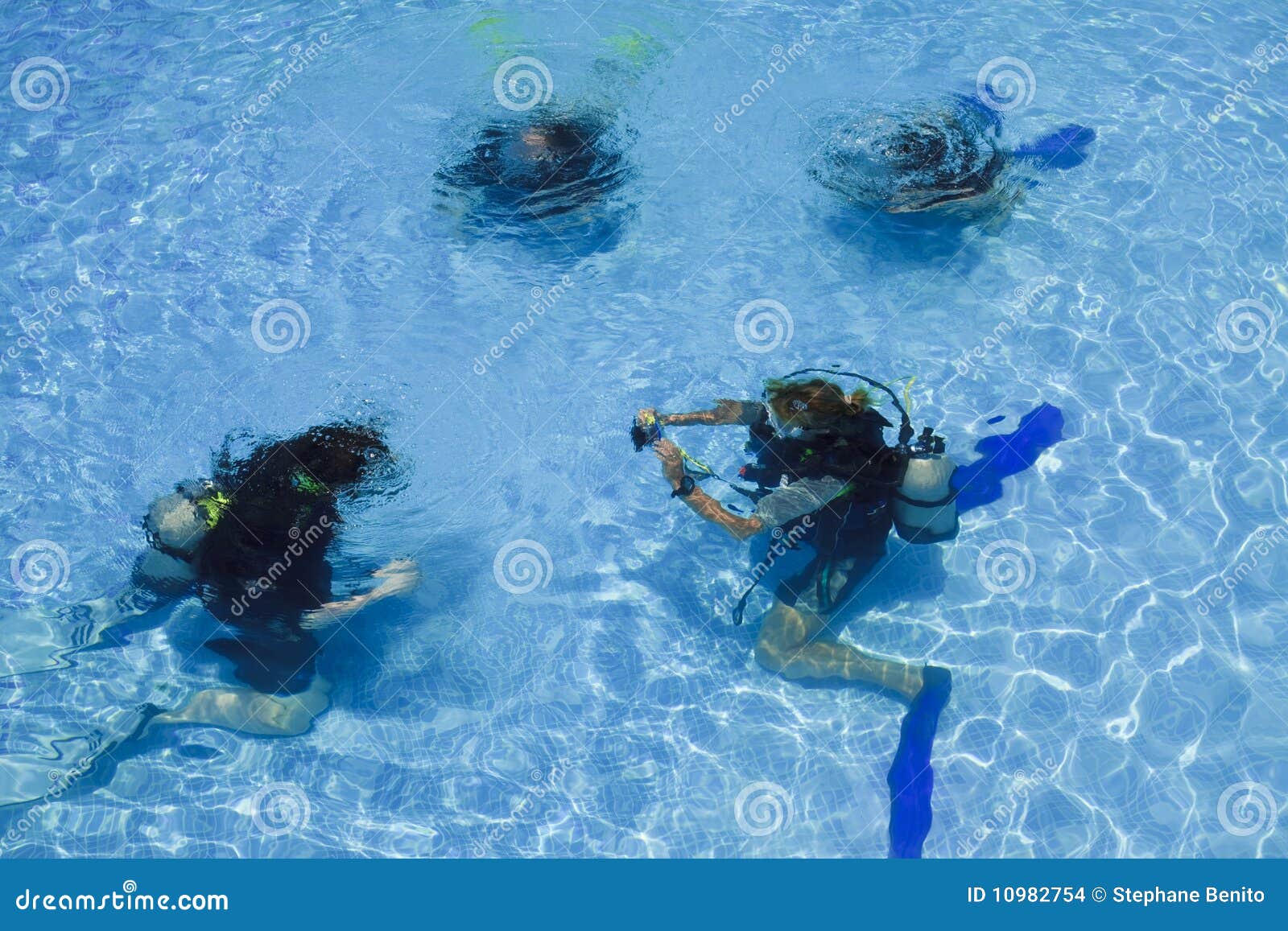 Divers in a swimming pool. stock photo. Image of pool - 10982754