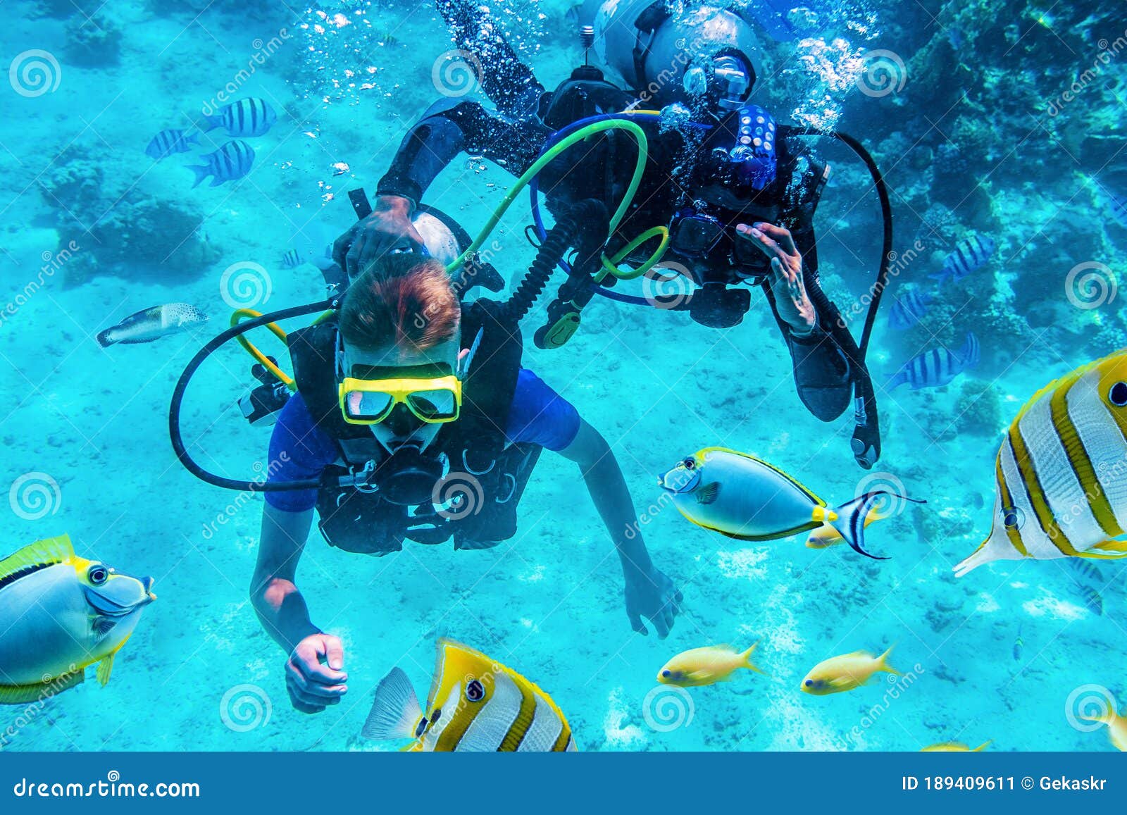 Divers training underwater editorial photo. Image of activity - 189409611
