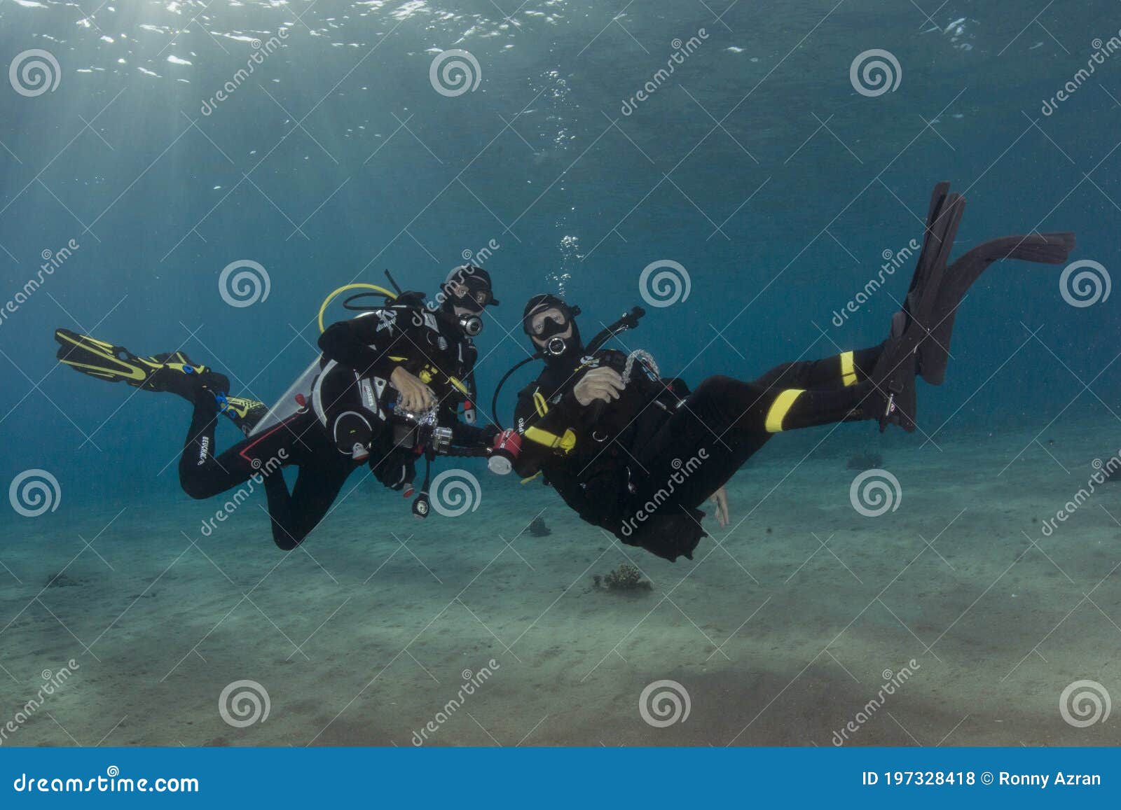 Divers under the sea stock photo. Image of underwaterphotography ...