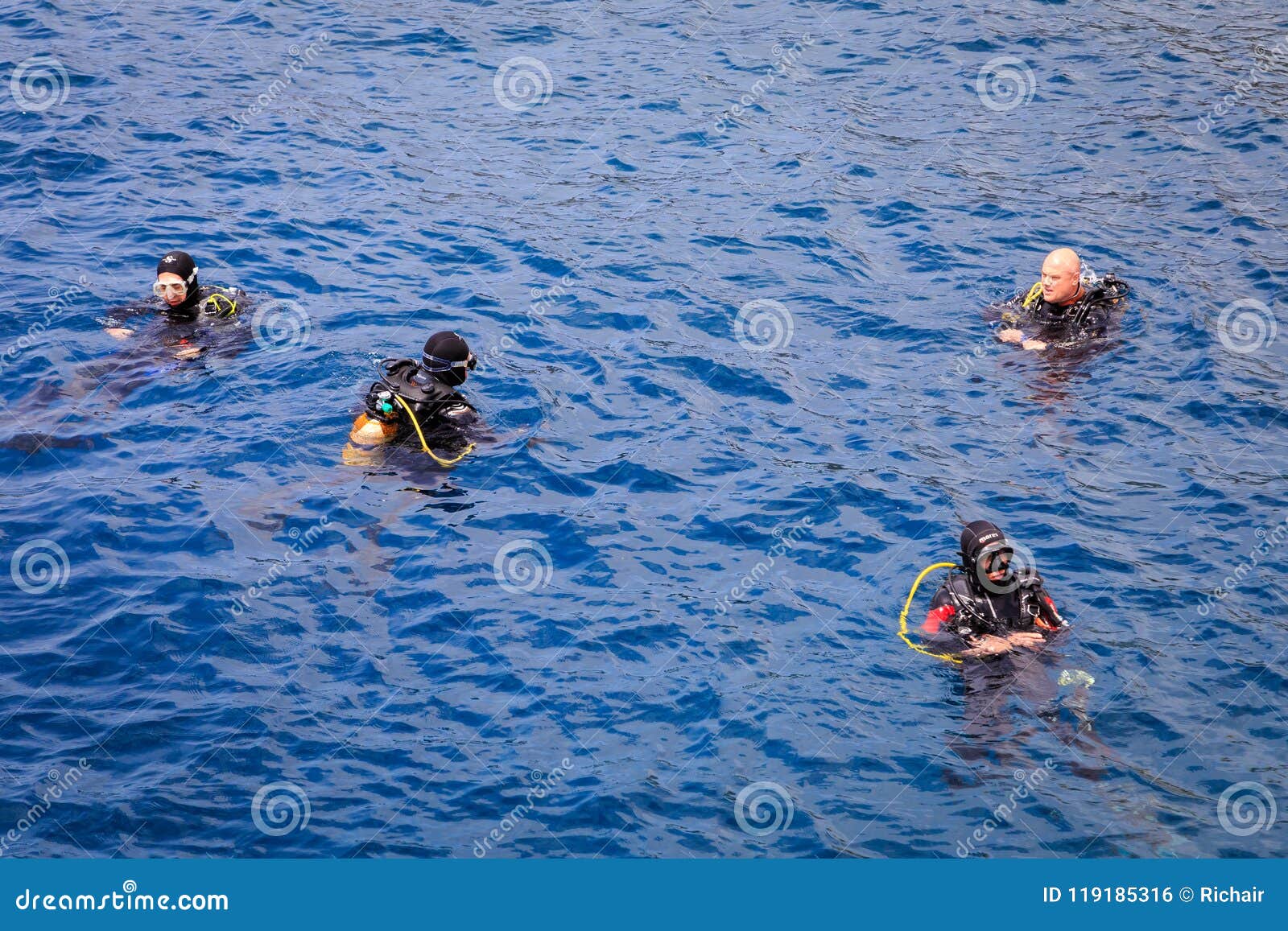 Divers in the water editorial photo. Image of tanks - 119185316