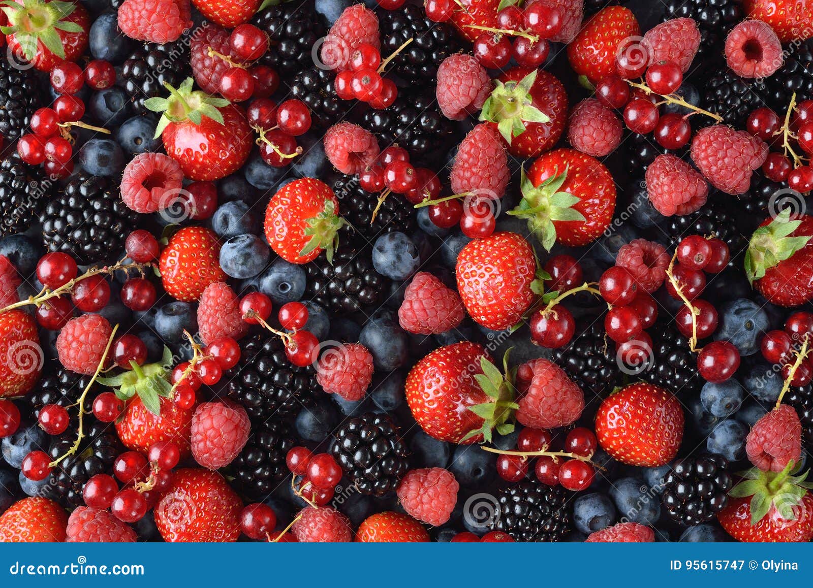 Diversas bayas del bosque imagen de archivo. Imagen de pasas - 95615747