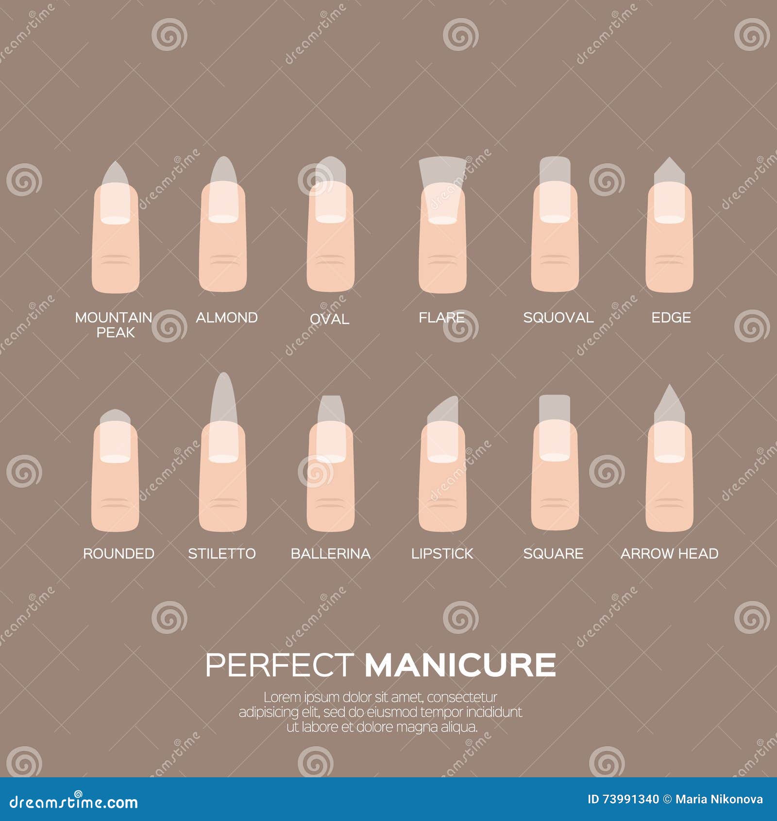 Diversas formas del clavo ilustración del vector. Ilustración de oval ...