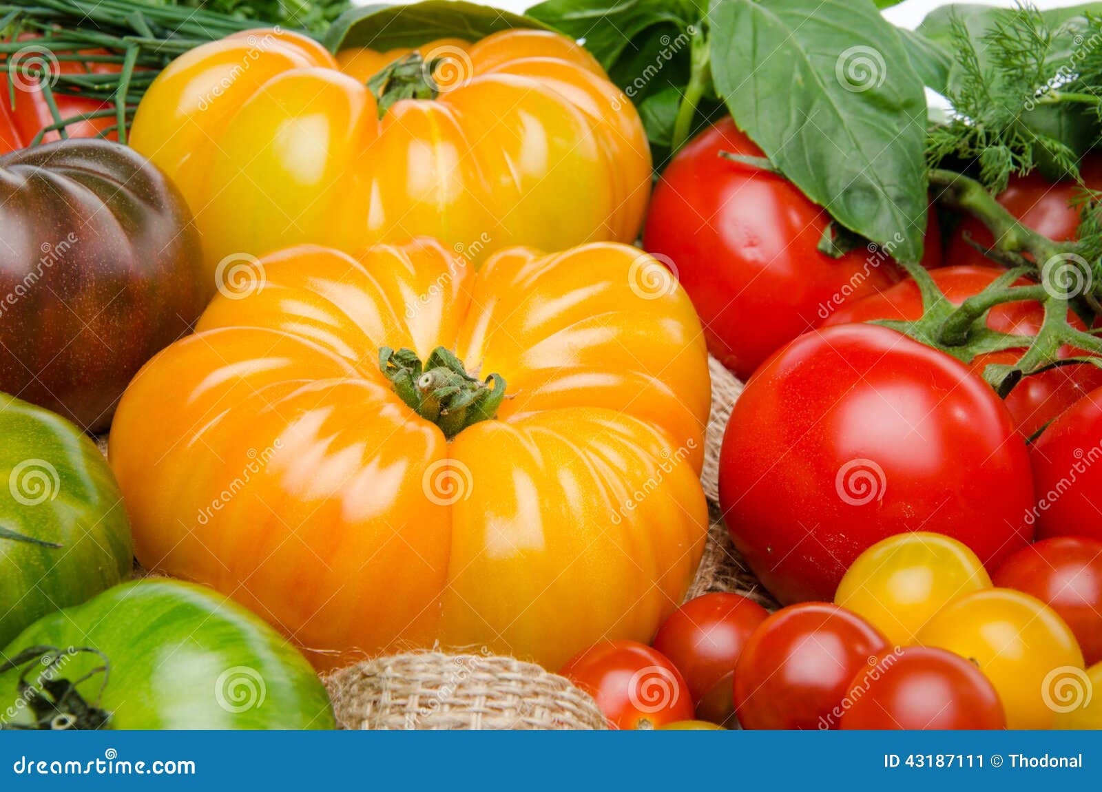 Diversas Variedades De Tomates Imagen de archivo - Imagen de tomates ...