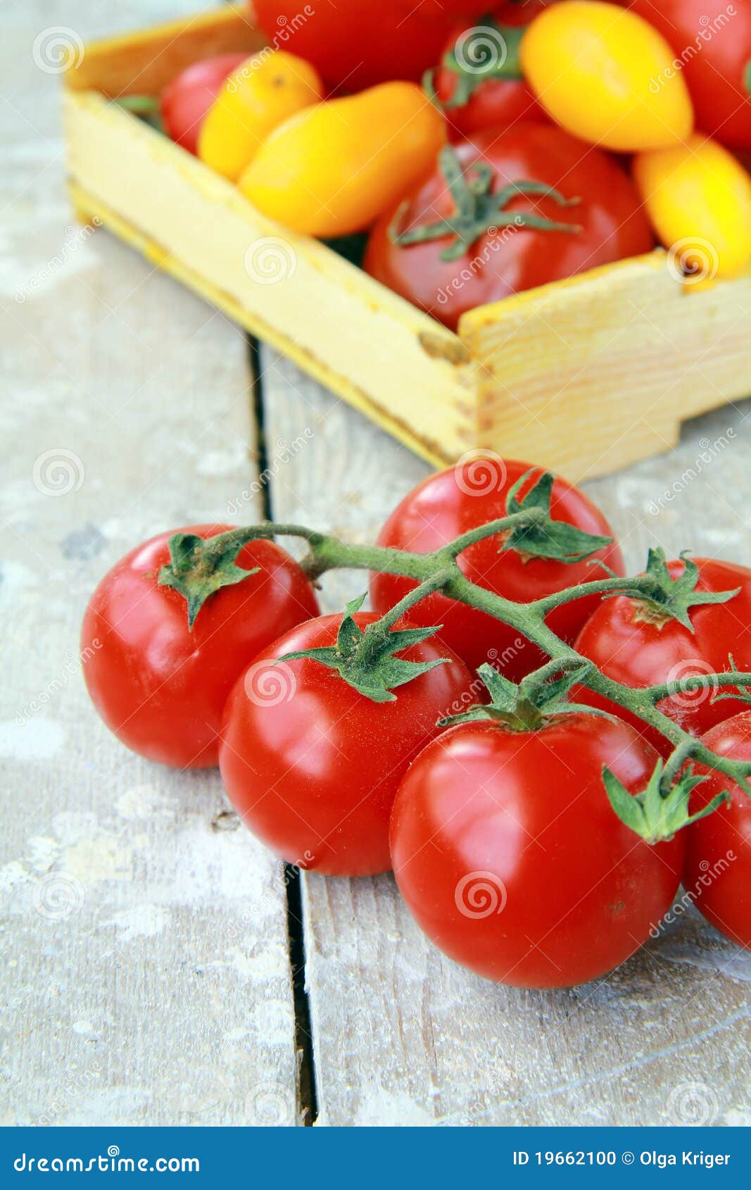 Diversas Variedades De Tomates Em Uma Caixa Foto de Stock - Imagem de ...