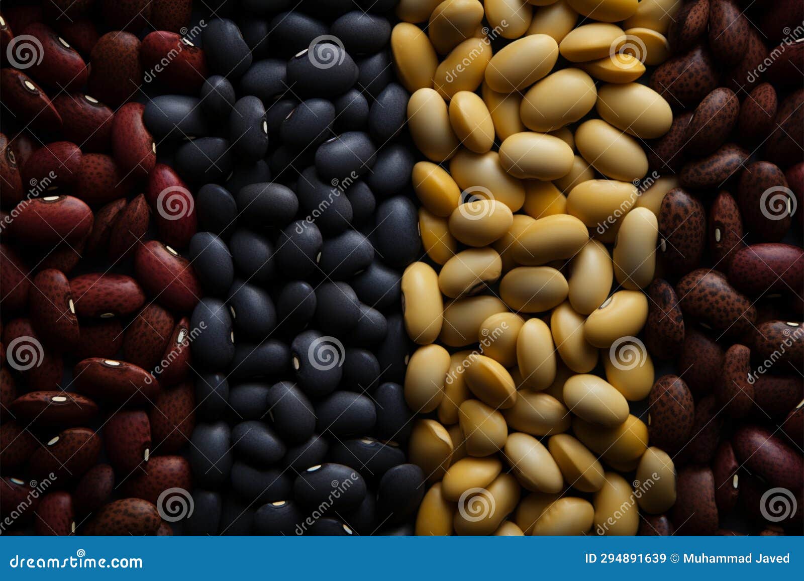 Diverse Beans in a Cohesive and Interconnected Formation Stock ...