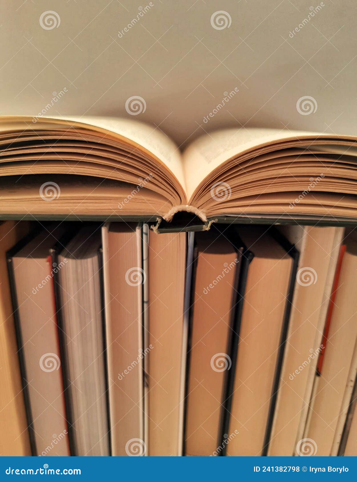 Diverse Books with One Open Book. Education and Learning, Reading Stock ...