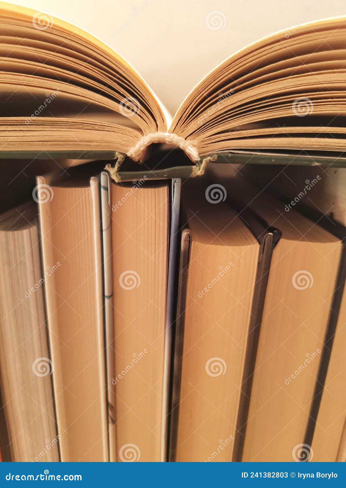 Diverse Books with One Open Book. Education and Learning, Reading Stock ...