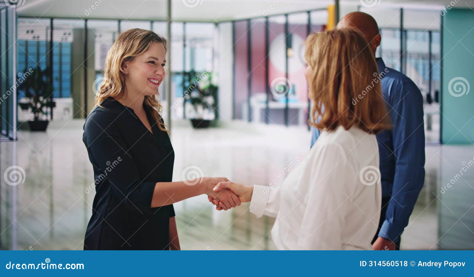 Diverse Business Persons Shaking Hands Stock Photo - Image of american ...