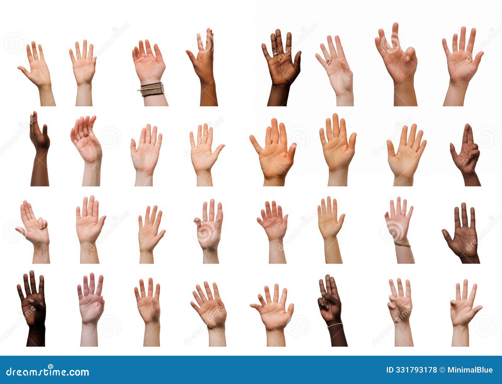 Diverse Collection of Human Hands Raised in Different Gestures Stock ...