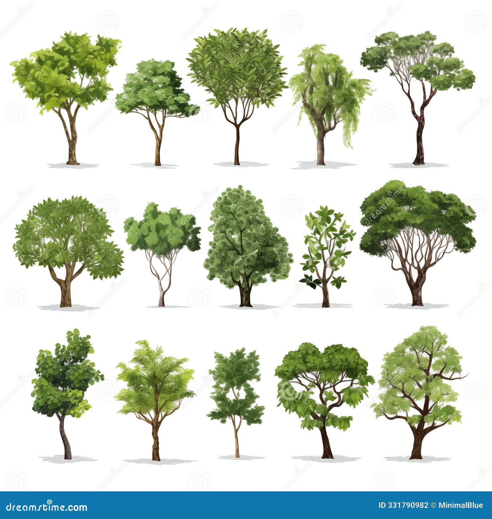 Diverse Collection of Trees on White Background Stock Illustration ...