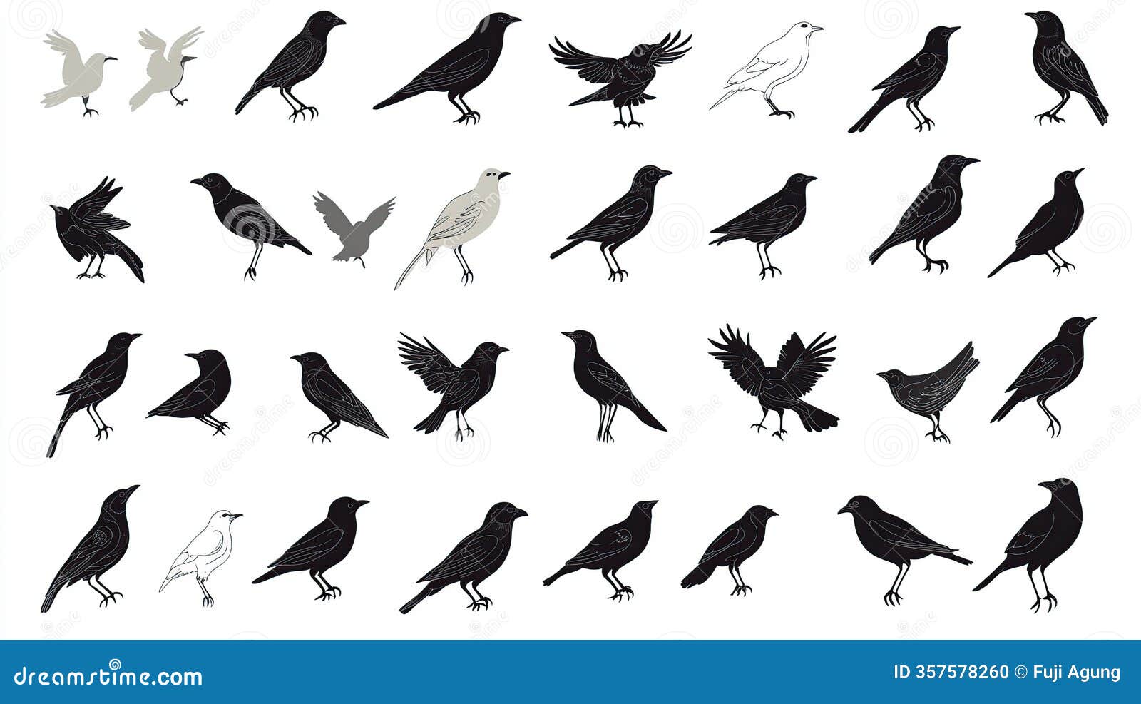 Diverse Crow Silhouettes, Various Poses, White Background, Graphic ...