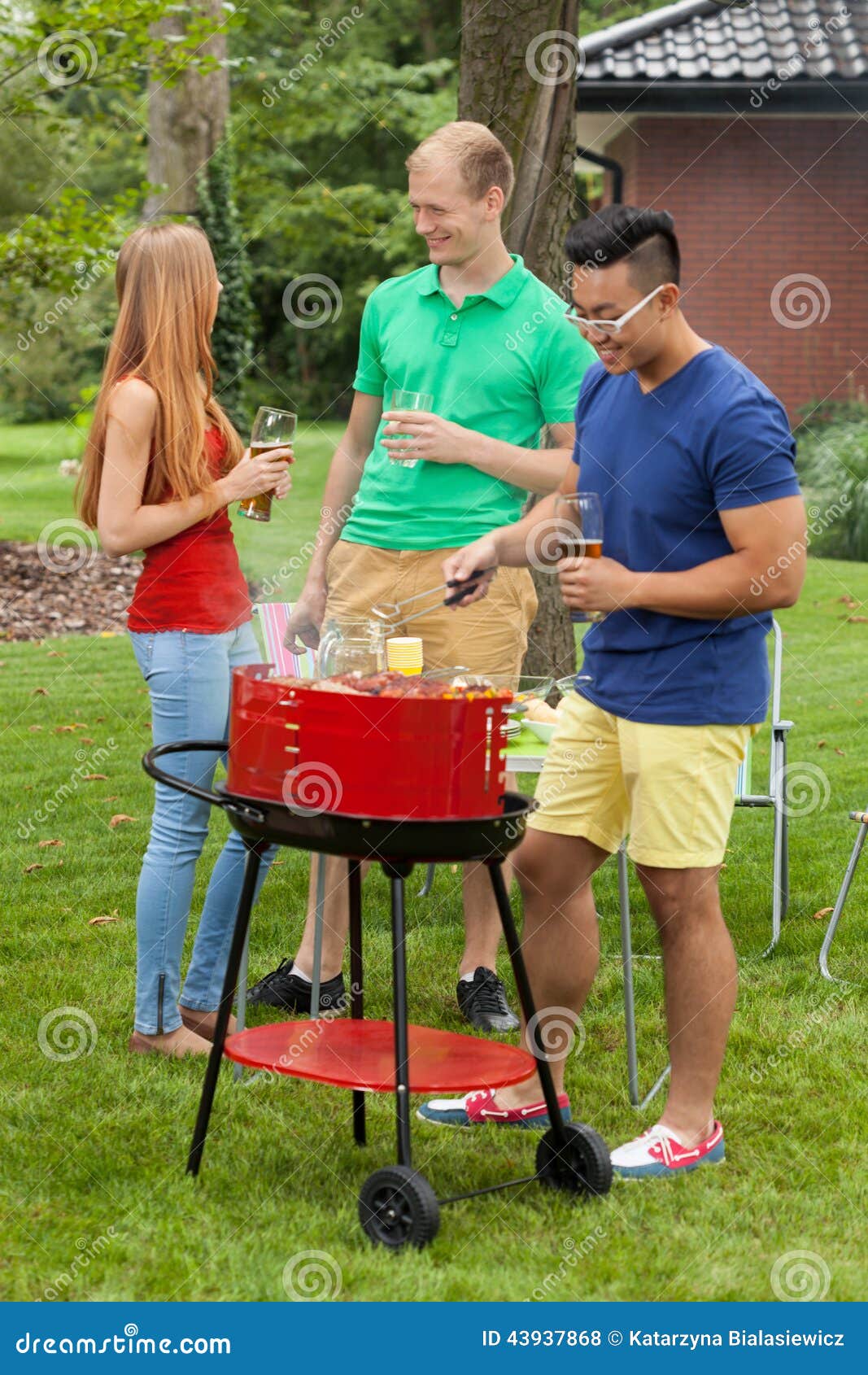 Diverse Friends on a Barbecue Stock Photo - Image of meeting, holidays ...