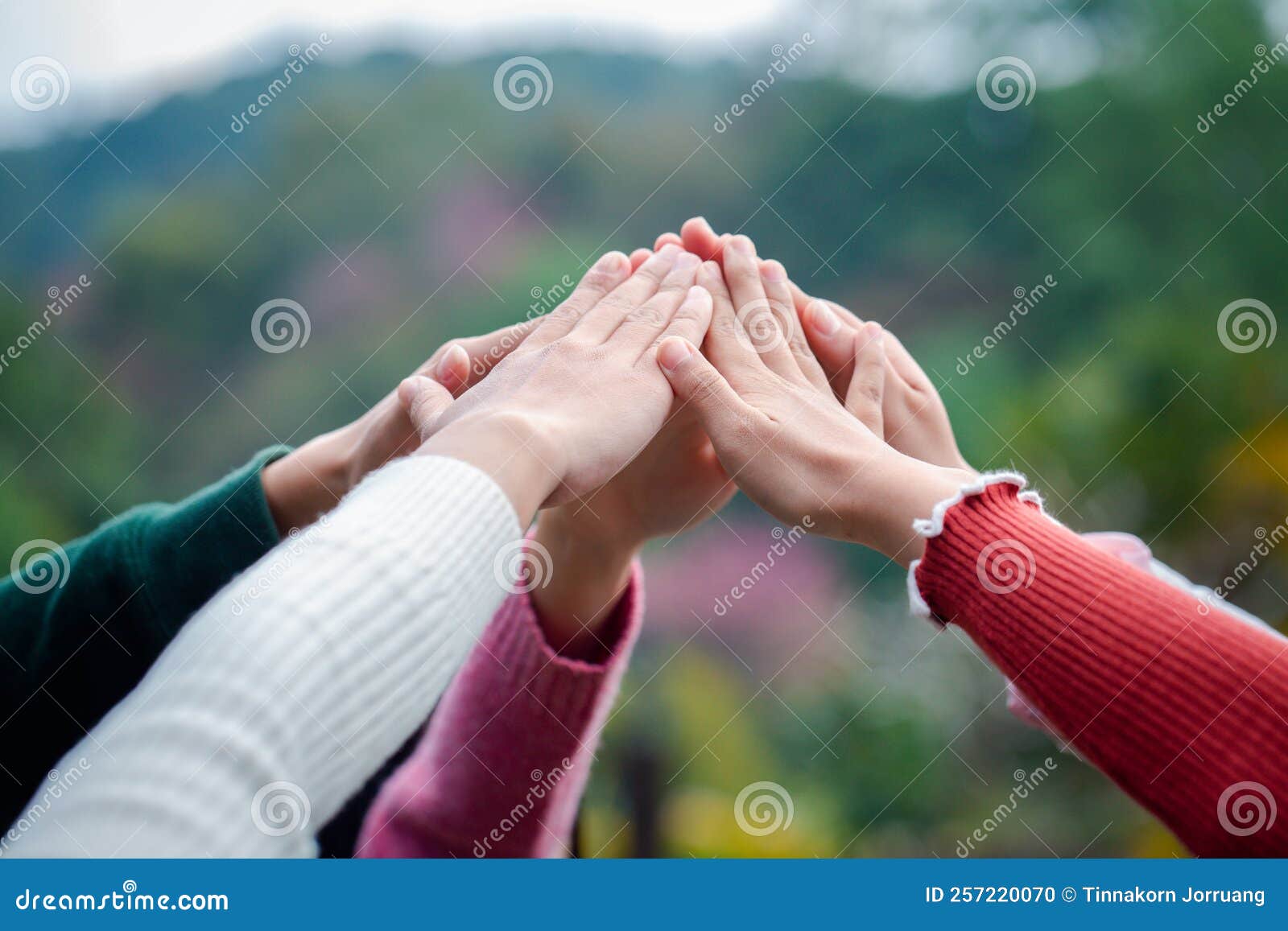 A Diverse Group of People Connects Their Hands As a Supportive Sign ...