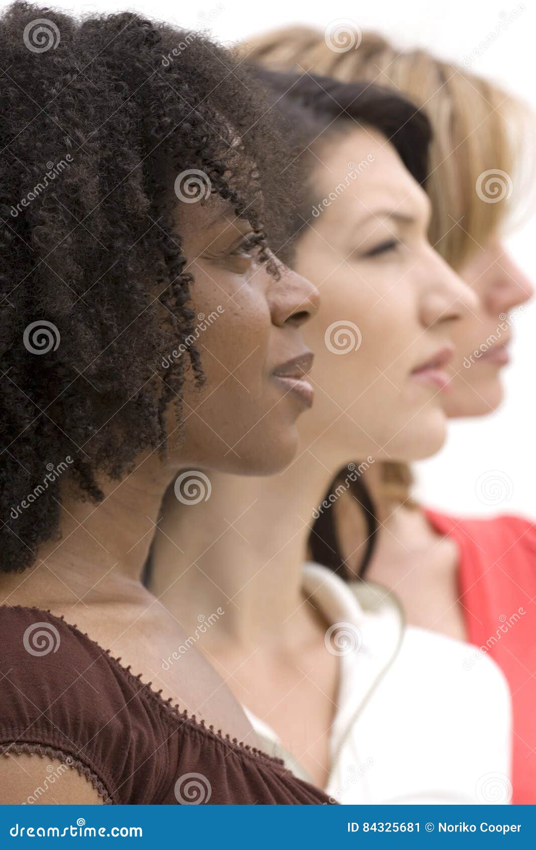Diverse Group of Woman Isolated on White. Stock Image - Image of ...