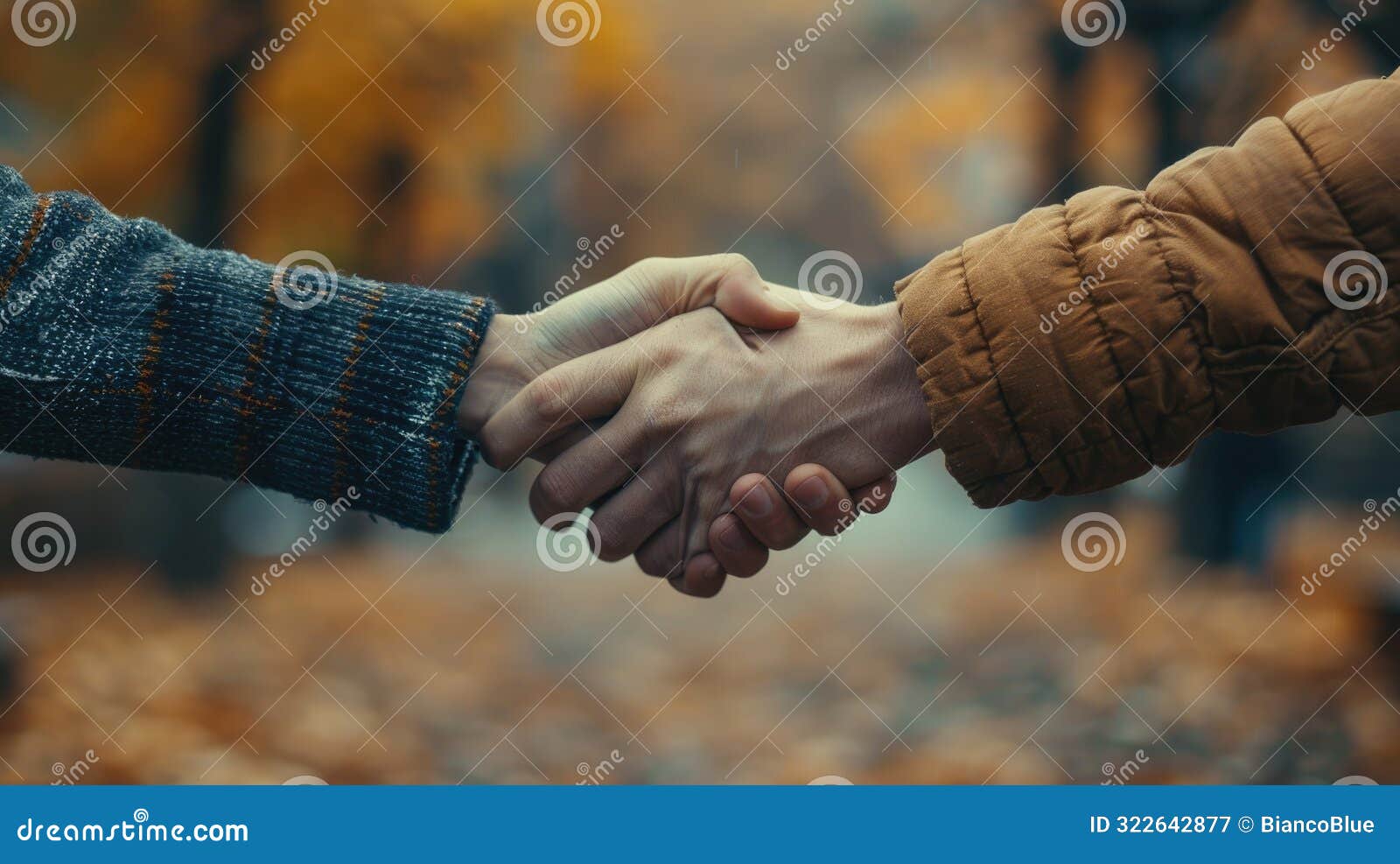 Diverse Handshake Symbolizes Unity, Collaboration, Success, Teamwork ...