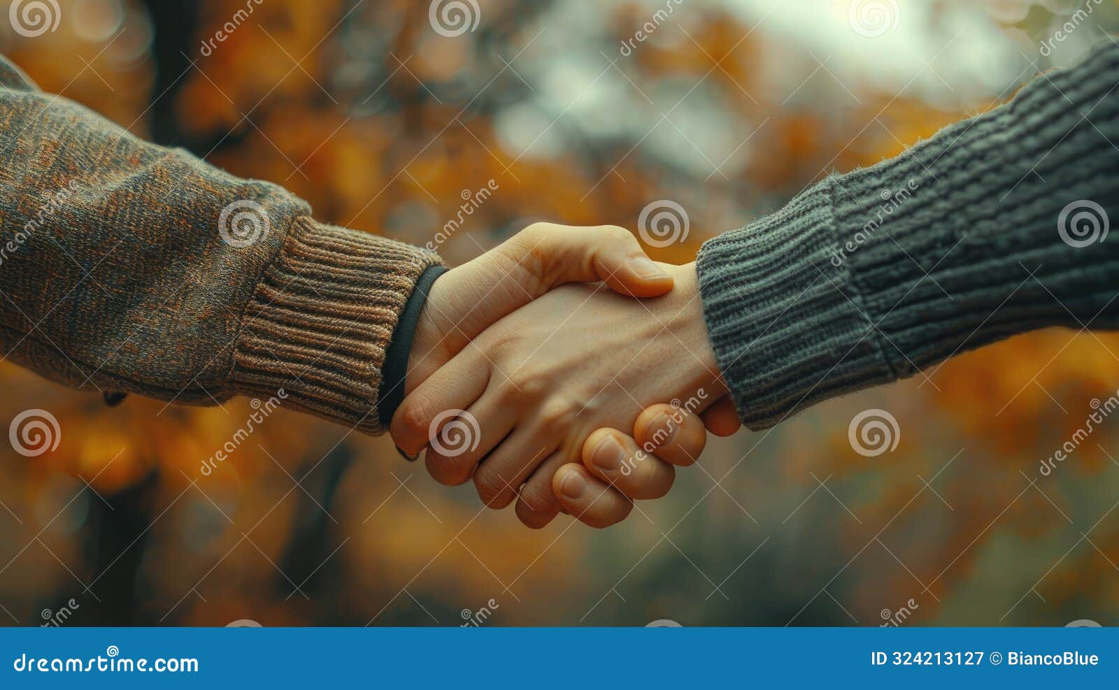 Diverse Handshake Symbolizes Unity, Collaboration, Success, Teamwork ...
