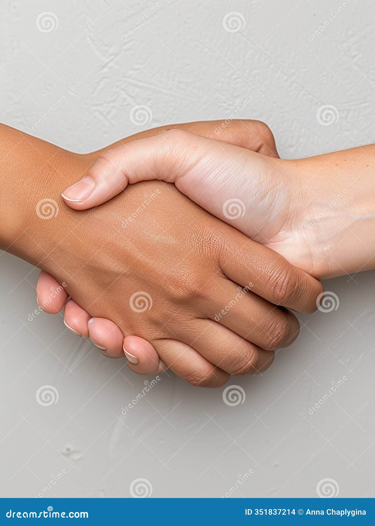 Diverse Handshake between Two Adults Signifying Agreement and Unity ...
