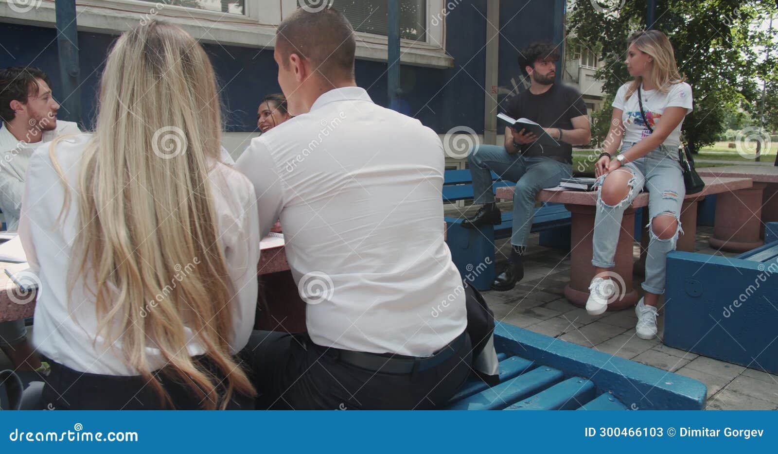 Diverse Group of Students Having Fun Studying Outside in the Bench ...