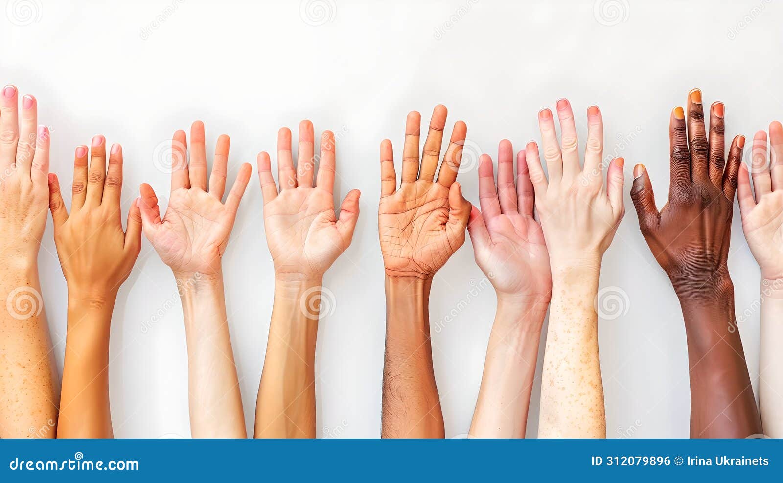 A Diverse Set of Hands Raised Up High on a White Background. Unity and ...
