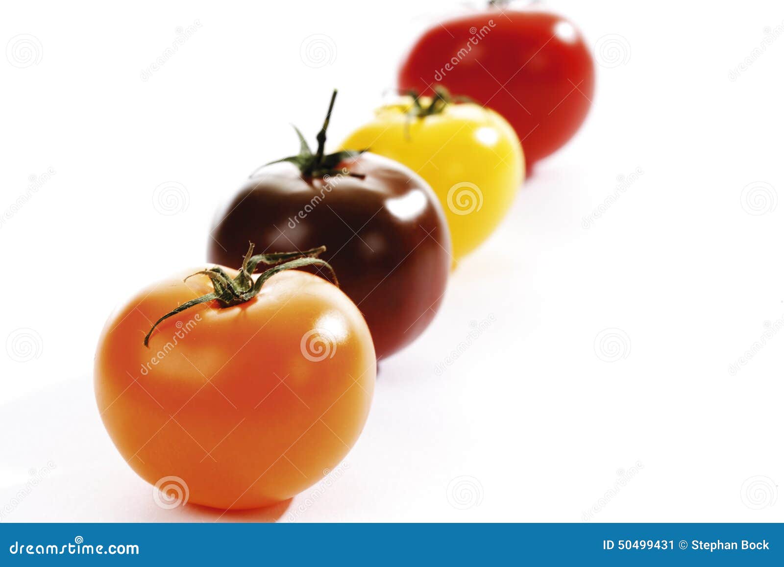 Diverse soorten tomaten stock afbeelding. Image of plantaardig - 50499431