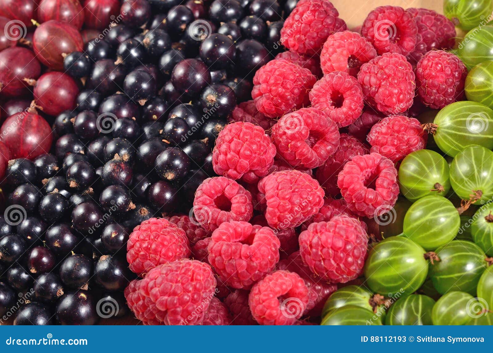 Diverse Soorten Verse Bessen Sluiten Omhoog Als Achtergrond Stock ...