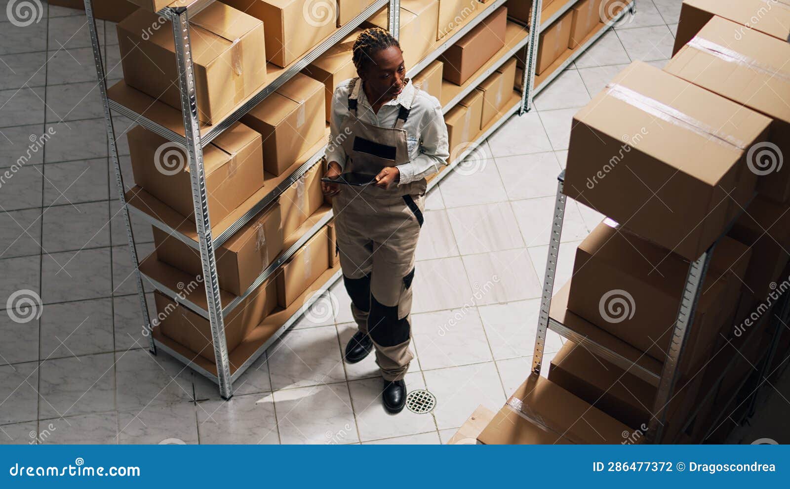Diverse Team of People Working on Cargo Inventory Stock Photo - Image ...