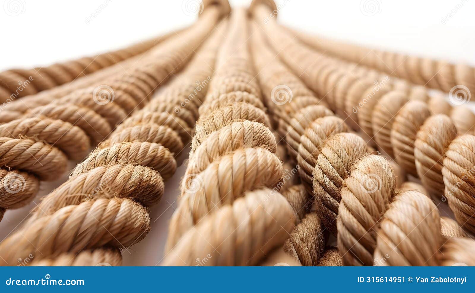 A Diverse Team of Strong Ropes: Symbolizing Unity, Communication, and ...