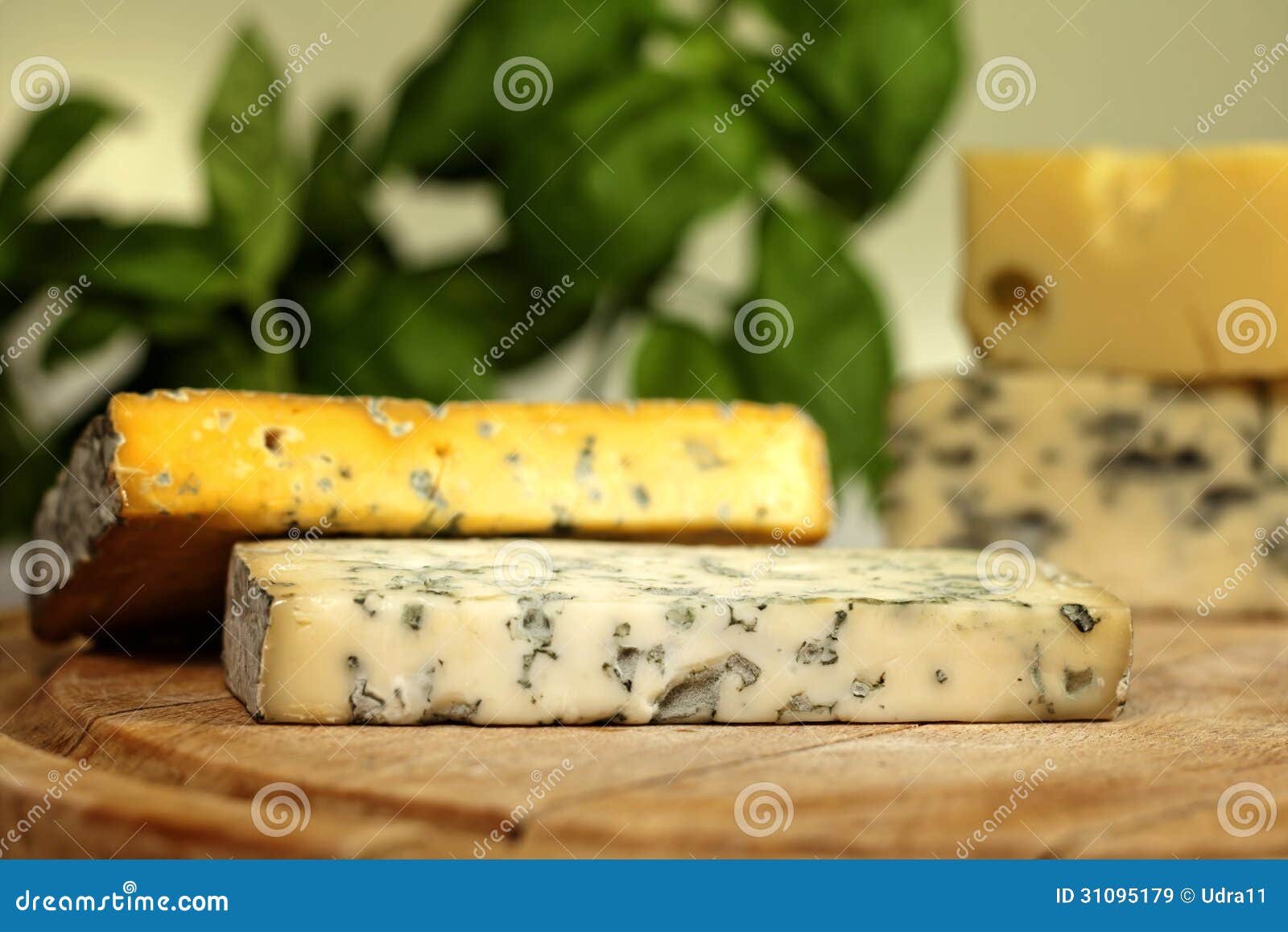 Diverse types van kaas stock afbeelding. Image of verschillend - 31095179