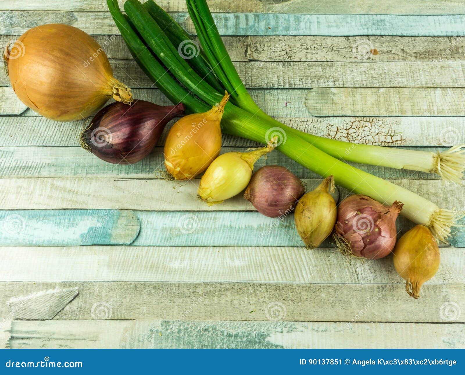 Diverse types van uien stock afbeelding. Image of soort - 90137851