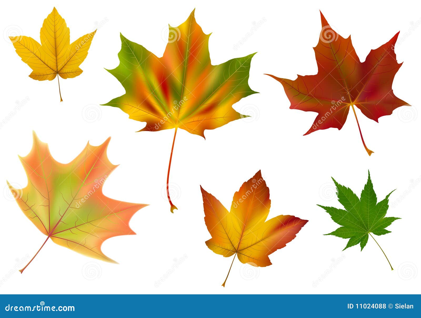 Vector Maple Leaf With Red Triangles Texture. Tree Leave Silhouette On ...