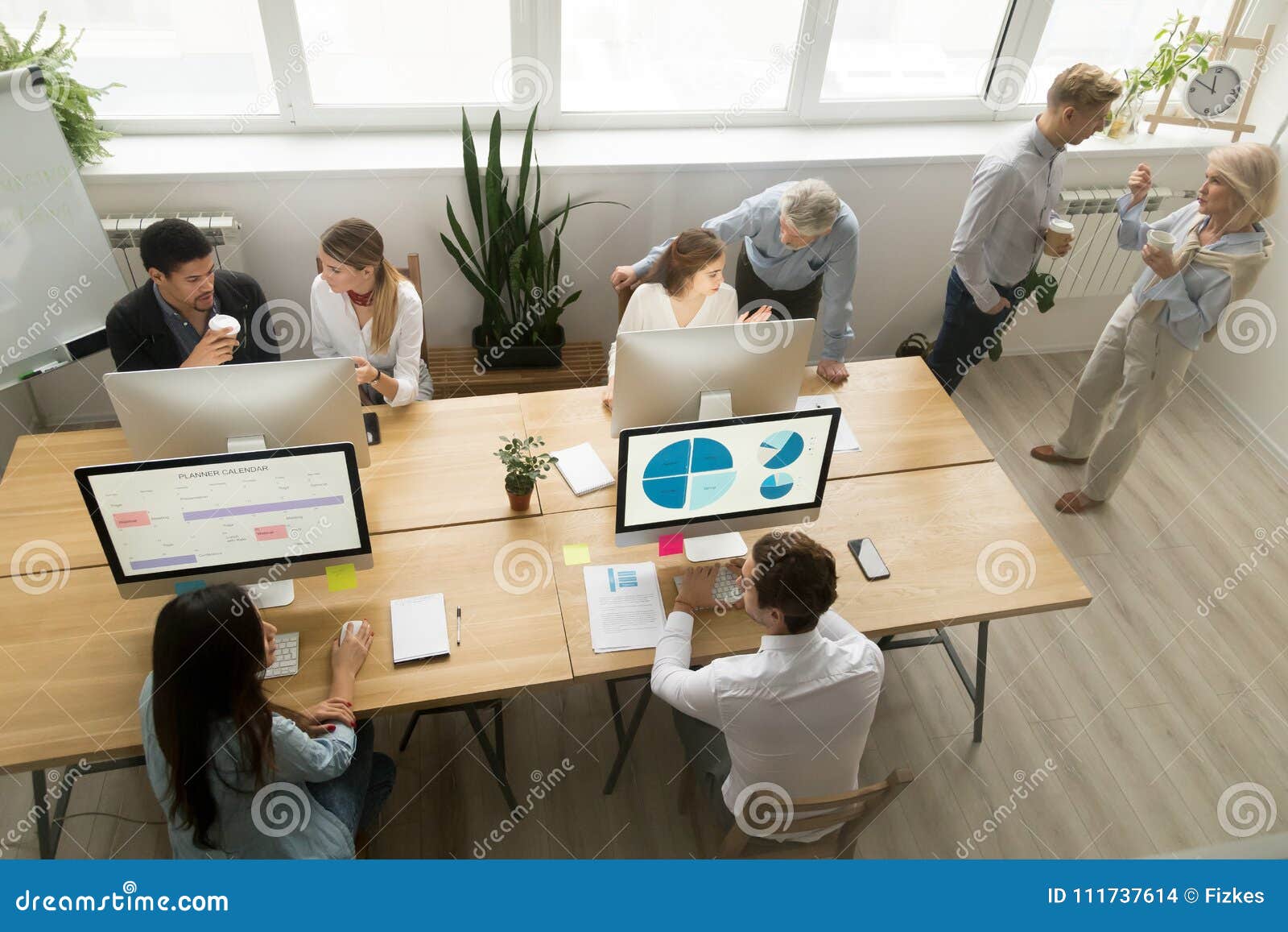 Diverse Young and Senior Office Workers Collaborating Talking, T Stock ...