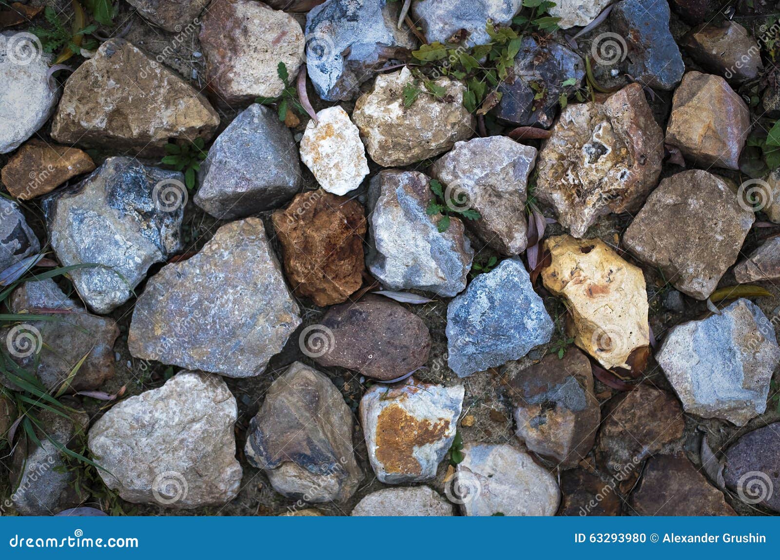 Diverses Pierres De Caillou Pour Le Fond Photo stock - Image du jardin ...