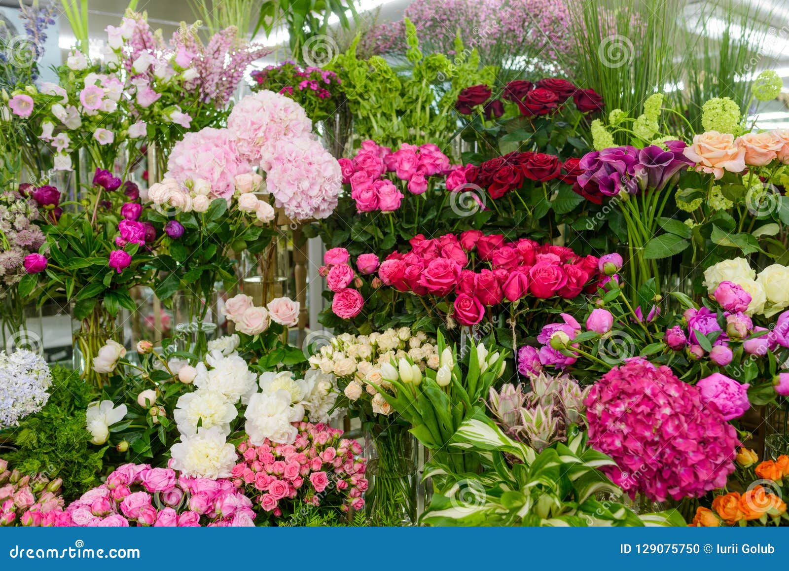 Diversidade Colorida Das Flores Foto de Stock - Imagem de vida ...